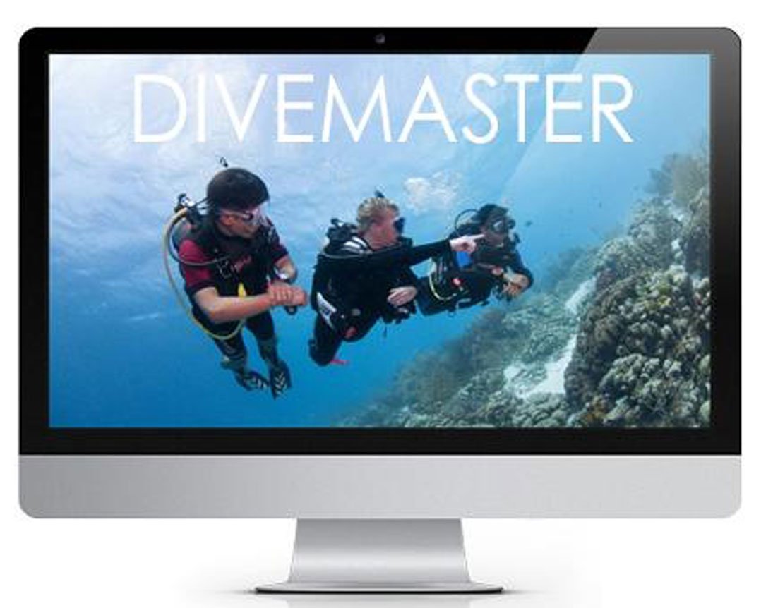 ONLINE TRAINING: PADI Divemaster Course | Frog Dive