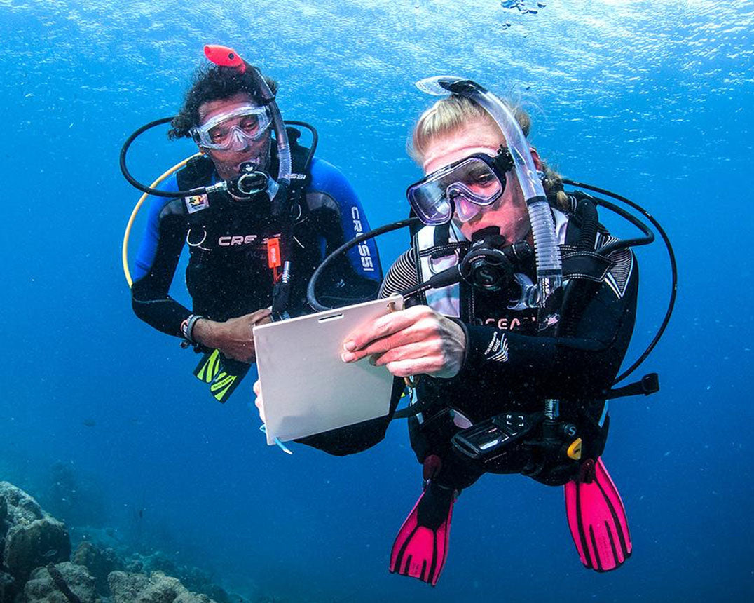 PADI Complete Divemaster Program | Frog Dive