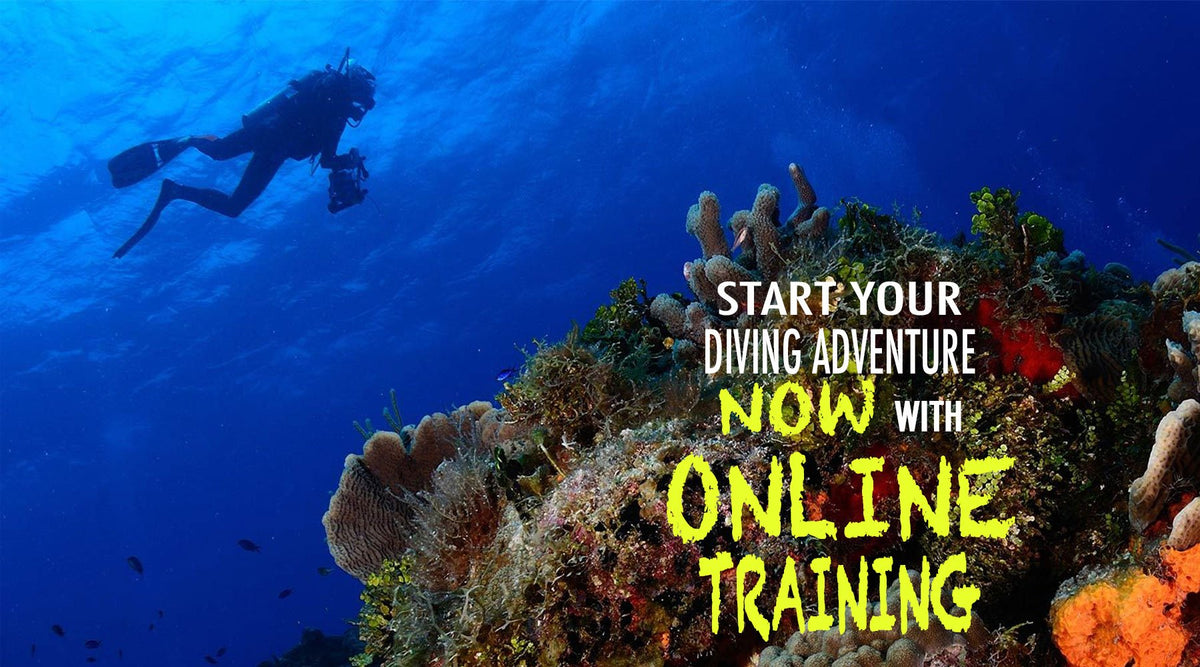 Scuba Diving ONLINE TRAINING | Frog Dive
