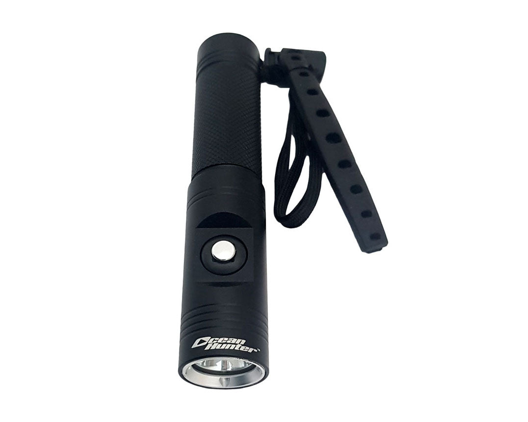 Ocean Hunter Seeker torch – Frog Dive