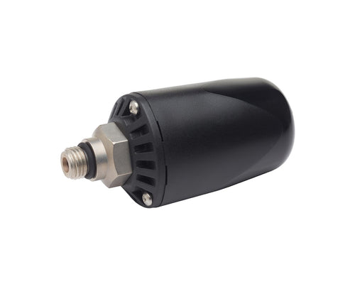 Frog Dive | Scuba Diving Sydney | The Scuba Experts