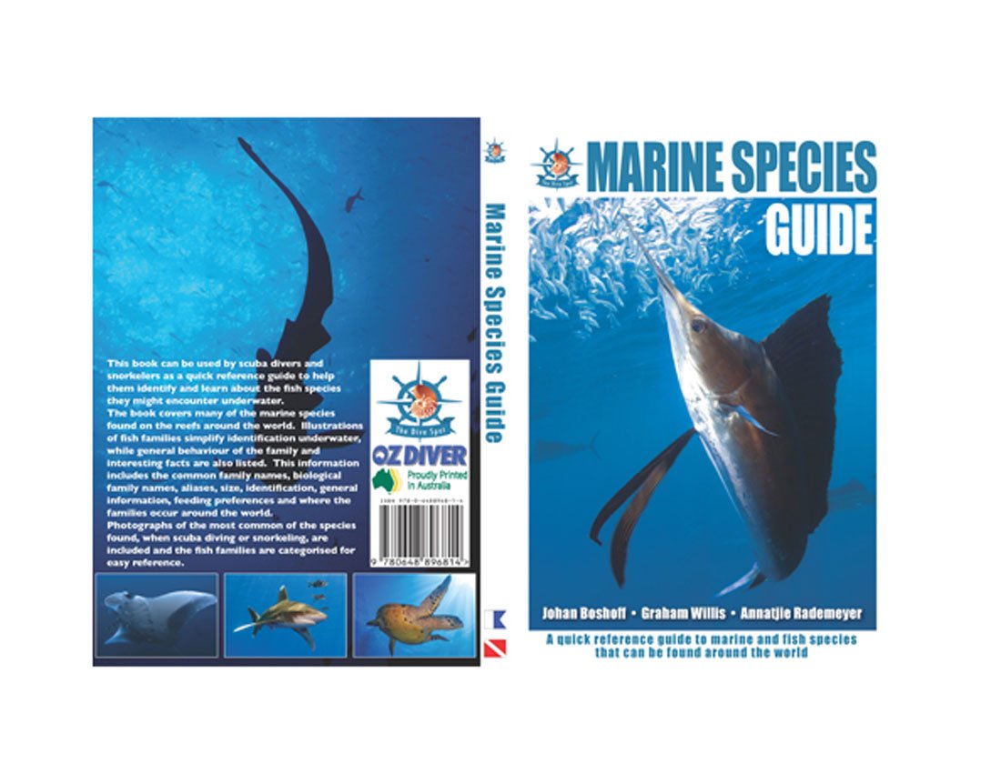 Marine Species Guide – Frog Dive