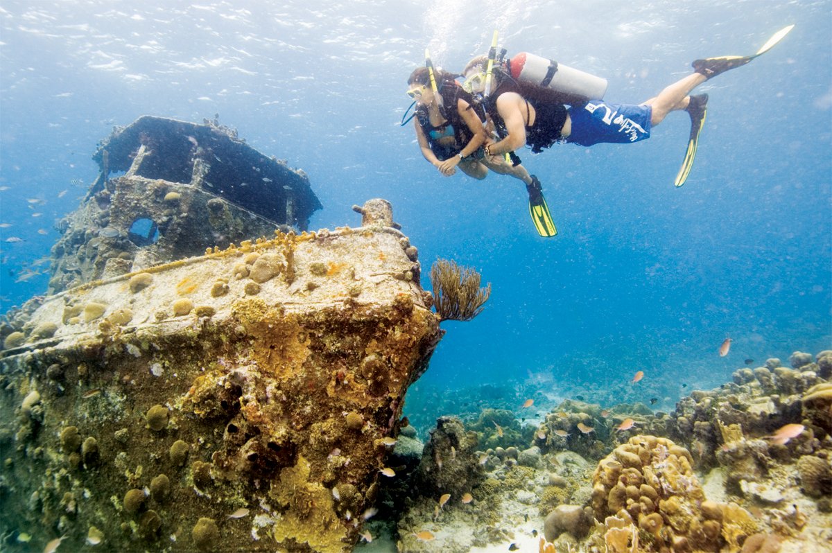 ONLINE TRAINING: PADI Wreck Diver Course – Frog Dive